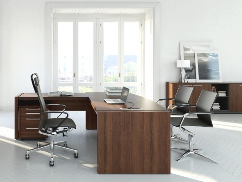 Birouri Directoriale Status | Birouri directoriale | Birou directorial ...