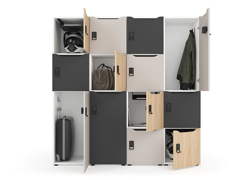 Dulapuri Locker Choice | Smart Interior Design